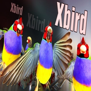 Acheter Xbird Clé CD Comparateur Prix