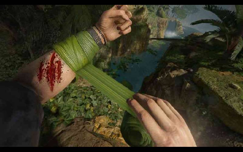 Green Hell VR Compte Steam Comparer les prix